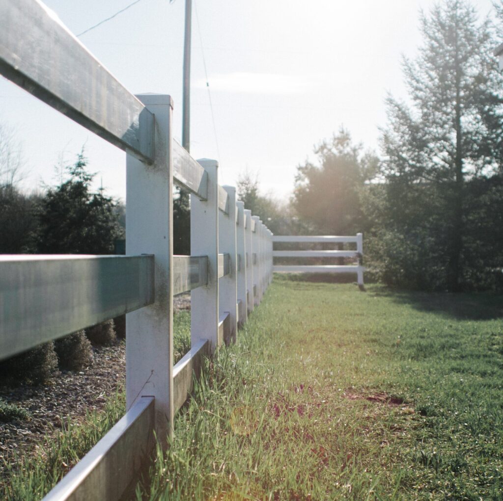 Deck and Fence - Panda Solutions Ltd